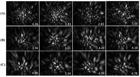 Four S Polarized Diffraction Images From Different Cell Samples With Download Scientific