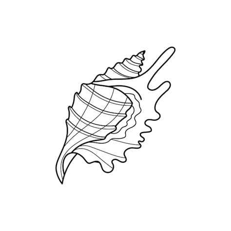 Premium Vector Snail Sea Shell Vector Illustration Line Art Printable