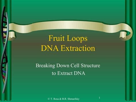 Simple Dna Extraction Background Ppt