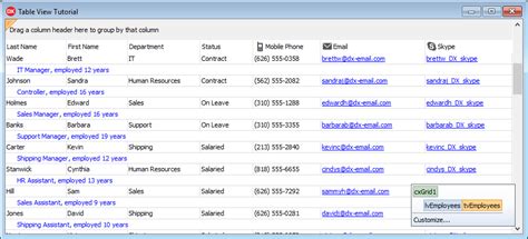 Table View Tutorial Step Enable User Friendly Content And Layout VCL DevExpress