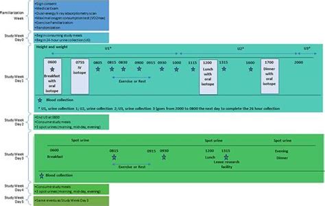jeff staab on linkedin load carriage exercise increases calcium