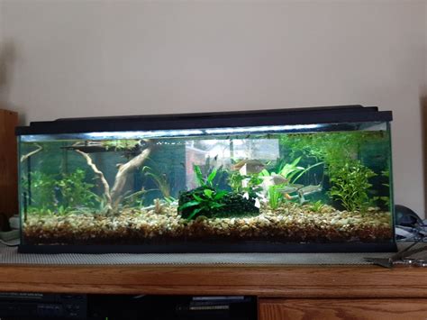 Root Tabs Plants Algae And Fertilizers C A R E