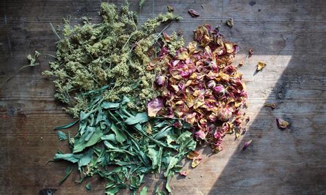 How To Dry Your Own Herbs Food And Home Magazine