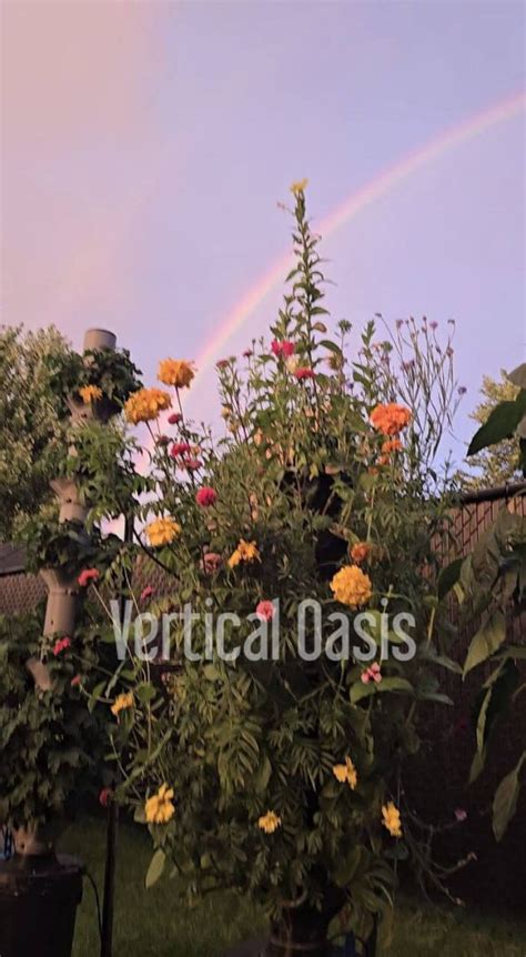 24 Plant Hydroponic Tower Vertical Oasis