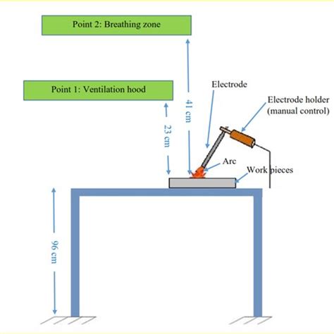 Schematic View Of Sampling Points Download Scientific Diagram
