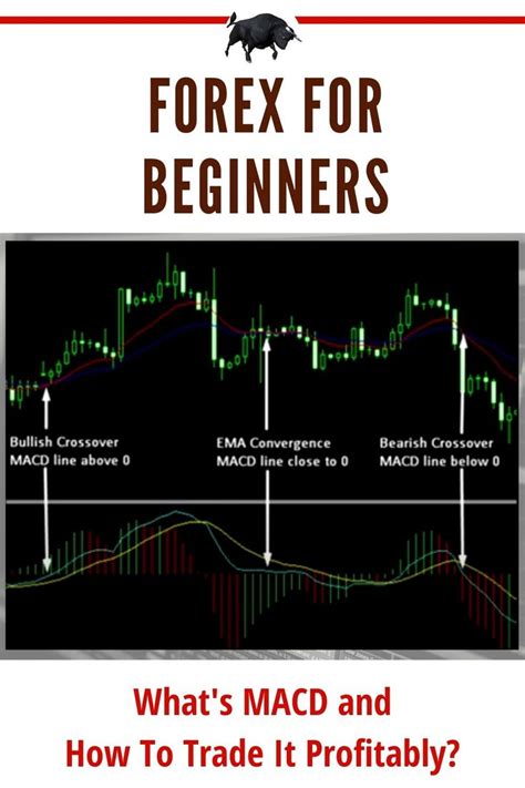 Mastering MACD The Ultimate Guide For Forex Beginners