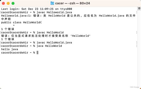 第一个代码成功啦 Csdn博客