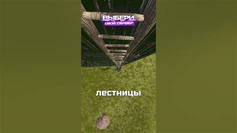 ЛУЧШАЯ ЛОВУШКА В БАШНЕ в Rust РАСТ Magicrust сервера на любой вкус Youtube