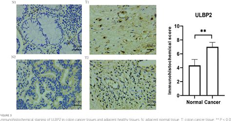 Figure 3 From Significance Of Logistic Regression Scoring Model Based