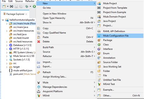 mulesoft tutorial for beginners message flow with listener and choice router
