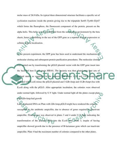 Biochemistry Lab Report Example Topics And Well Written Essays 750 Words