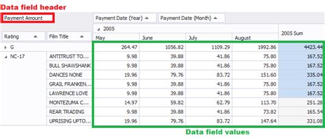 Data Field