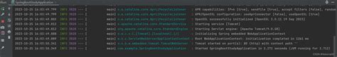 idea社区版使用springboot输出框显示终极版高亮的设置 dspring output ansi enabled always csdn博客