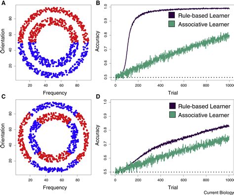 Cognition The Power Of Simple Associative Learning Current Biology
