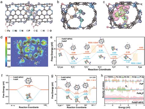 a top‐view image of the fenip‐np c atomic structure models b bader