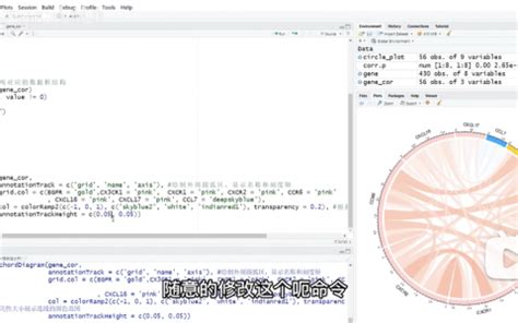 图书馆 贪吃的夜猫子