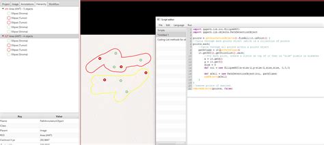 exporting point annotations in qupath image analysis image sc forum