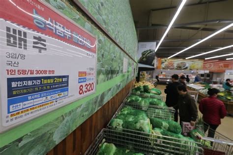 배춧값 한달새 63 떨어져…무 가격도 하락 전환