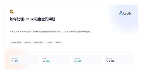 如何处理 linux 磁盘空间问题 labex