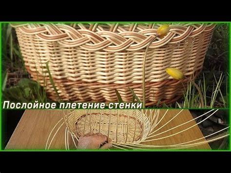Простота и ладность "Послойного плетения" стенок корзин из лозы ...