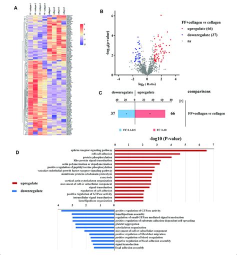 Quantitative Phosphoproteomics Analysis Of Collagen Stimulated Download Scientific Diagram