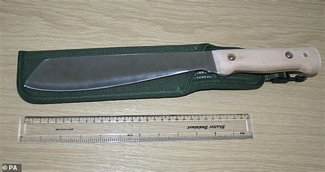 Ministers Call For Ban On Zombie Knives After Gangs Use Legal Loophole