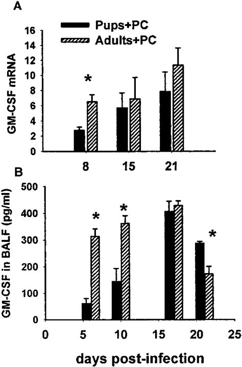 Gm Csf Mrna Expression And Activity In The Lungs Of Neonatal And Adult