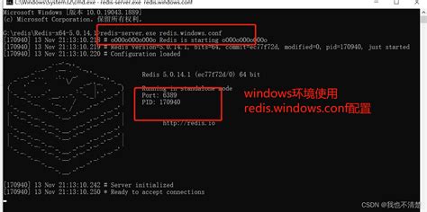 Win10：springbootredis样例springboot Data Redis是不是电脑上还要装redis Csdn博客