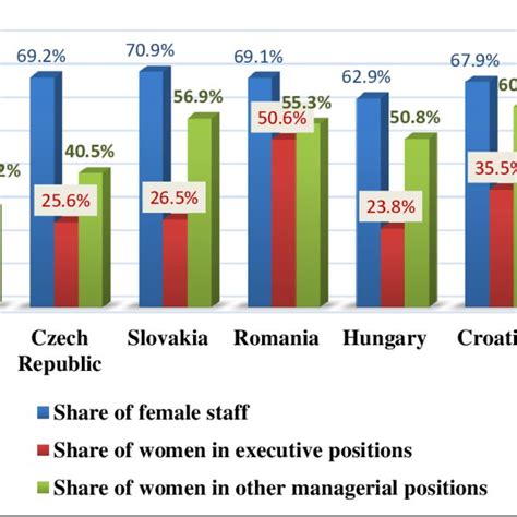 Diversity Indicators At Erste Group Level 2017 Source Author Download Scientific Diagram