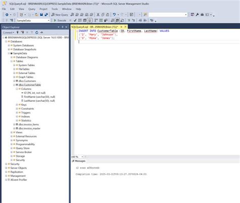Introduction To Sql Commands Part 2 Adding Updating Data