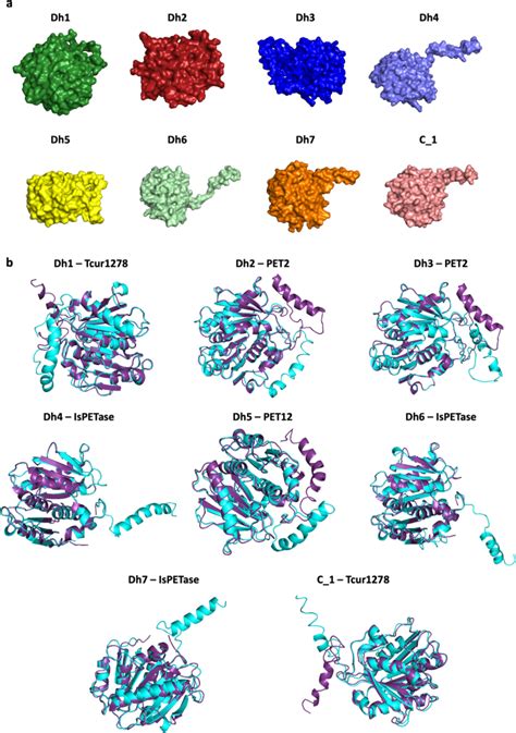 调节生物膜可以增强新型塑料降解酶的活性 Npj Biofilms And Microbiomes X Mol