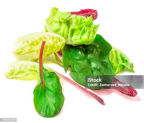 흰색 배경에 고립 된 다양한 샐러드 잎 상추 라디치오 시금치 및 사탕무 잎을 곁들인 그린 샐러드의 구색 상단 보기n 0명에 대한 스톡 사진 및 기타 이미지 Istock