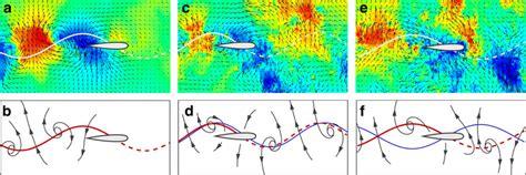 Flow Visualization Ab Flow Field Around A Non Interacting Wing Of Download Scientific