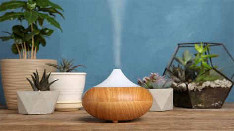 Best Smart Diffuser For All Day Aroma And Easy Control In Your Home Aprill Homme