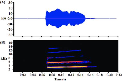 Oscillogram A And Spectrogram B Of The Advertisement Call Of Download Scientific Diagram