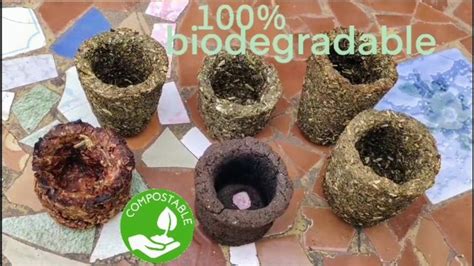 Macetas Biodegradables Con Restos De Yerba Café Y Cebollas Macetas