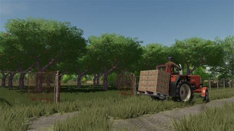 Apple Tree FS22 KingMods