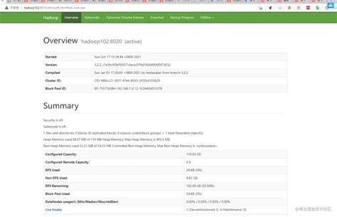 2021 10 17 hadoop3 2 2启动后无法访问8088端口问题 1 最近在学习hadoop集群搭建 掘金