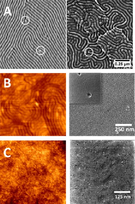 Figure 2 From The Morphology Of Ordered Block Copolymer Patterns As Probed By High Resolution