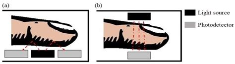 Figure 1 From Optical Ray Tracing Simulation By Using Monte Carlo Method For Reflectance Based