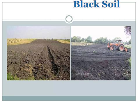 Soil Type And Their Characteristic Pptx
