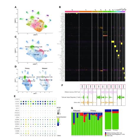 Visualization Plots Of T Cell Scrna Seq Data A Umap Plot Of 5415