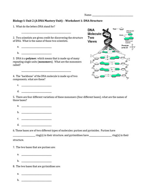 topic 1 dna structure activity pdf dna nucleotides