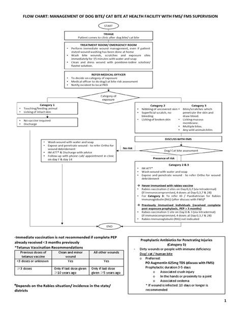 Flow Chart Management Of Dog Or Cat Bite 17123 V4 Pdf Rabies