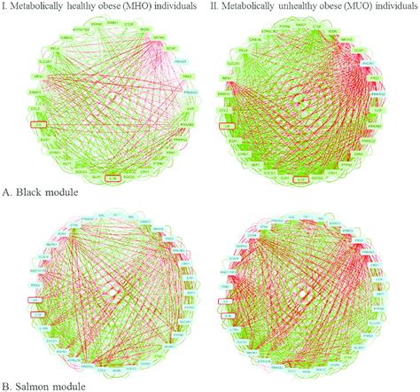 Network Visualization Of The Inter Tissue Network Modules