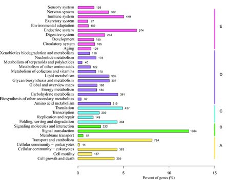 Unigene Kegg Enrichment Classification Of The Gonad Transcriptome Of