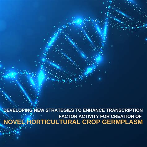 Faculty 【𝐃𝐞𝐯𝐞𝐥𝐨𝐩𝐢𝐧𝐠 𝐍𝐞𝐰 𝐒𝐭𝐫𝐚𝐭𝐞𝐠𝐢𝐞𝐬 𝐭𝐨 𝐄𝐧𝐡𝐚𝐧𝐜𝐞 𝐓𝐫𝐚𝐧𝐬𝐜𝐫𝐢𝐩𝐭𝐢𝐨𝐧 𝐅𝐚𝐜𝐭𝐨𝐫 𝐀𝐜𝐭𝐢𝐯𝐢𝐭𝐲 𝐟𝐨𝐫 𝐂𝐫𝐞𝐚𝐭𝐢𝐨𝐧 𝐨𝐟