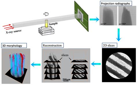 3d Visualized Characterization Of Fracture Behavior Of Structural