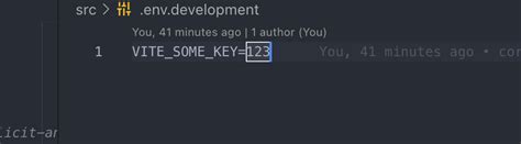 环境变量配置了，vite 开头， import meta env依旧无法访问 · issue 7089 · vitejs vite · github