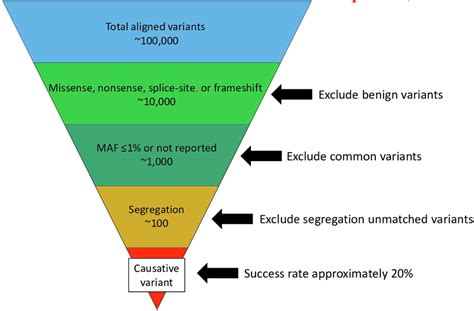 Typical Bioinformatic Variant Filtering After Wes Download